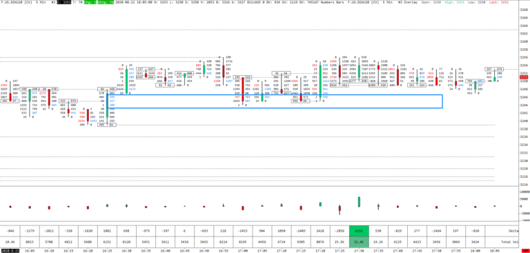Footprint Charts - The Complete Trading Guide - Tradingriot.com